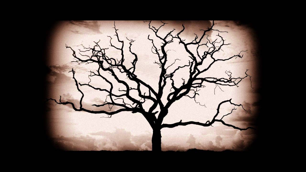 Ambient Music - Julien H Mulder - Inside the Dream World - YouTube