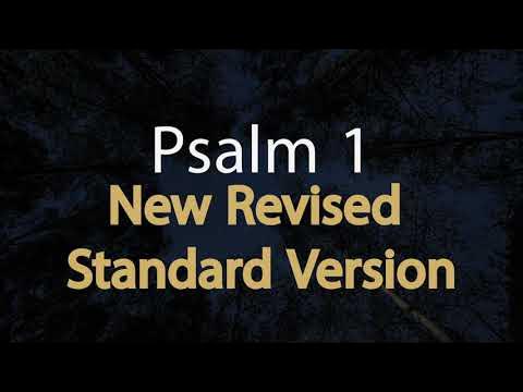Psalm 1 | Audio Bible for meditation and reflection - YouTube