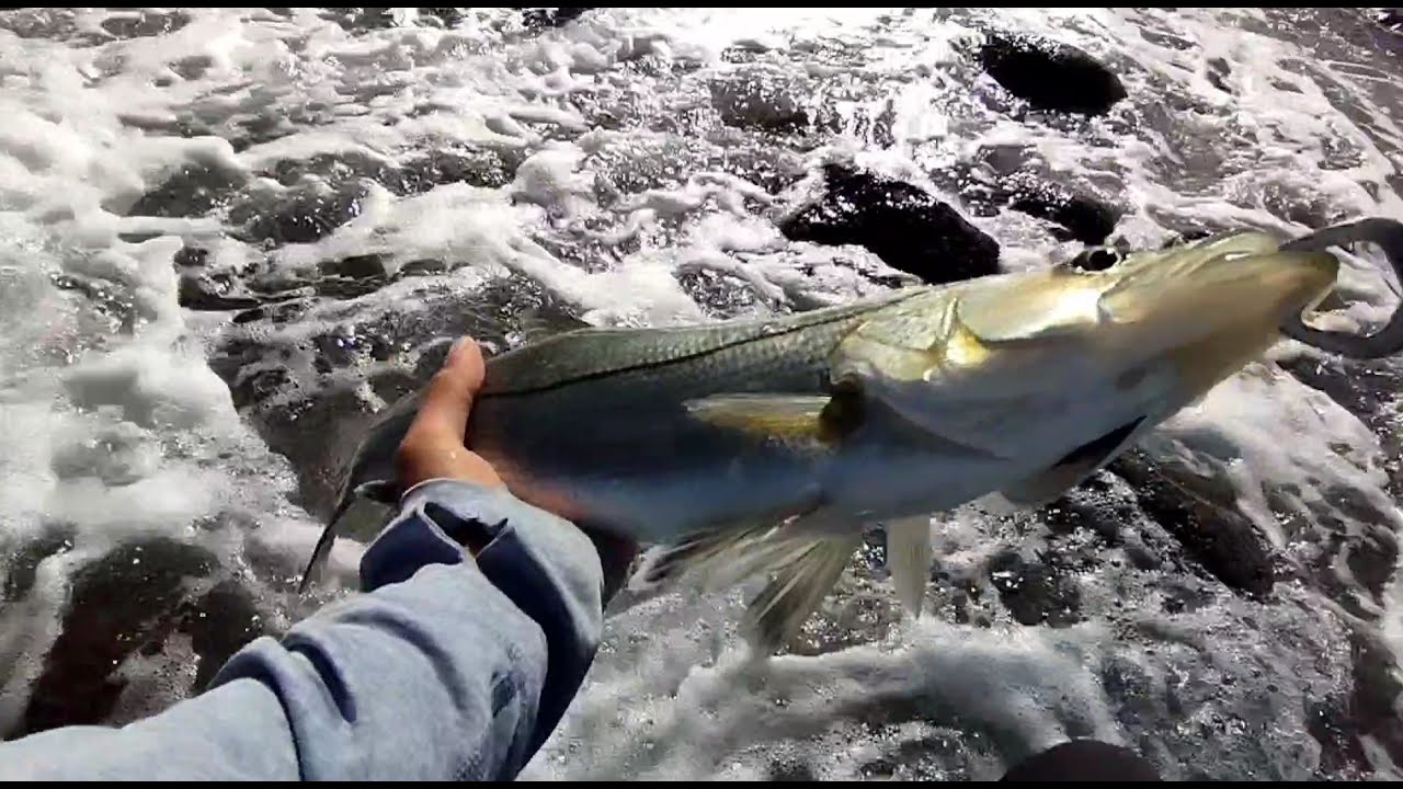 Róbalo al Popper Baitcasting El Salvador La libertad - YouTube