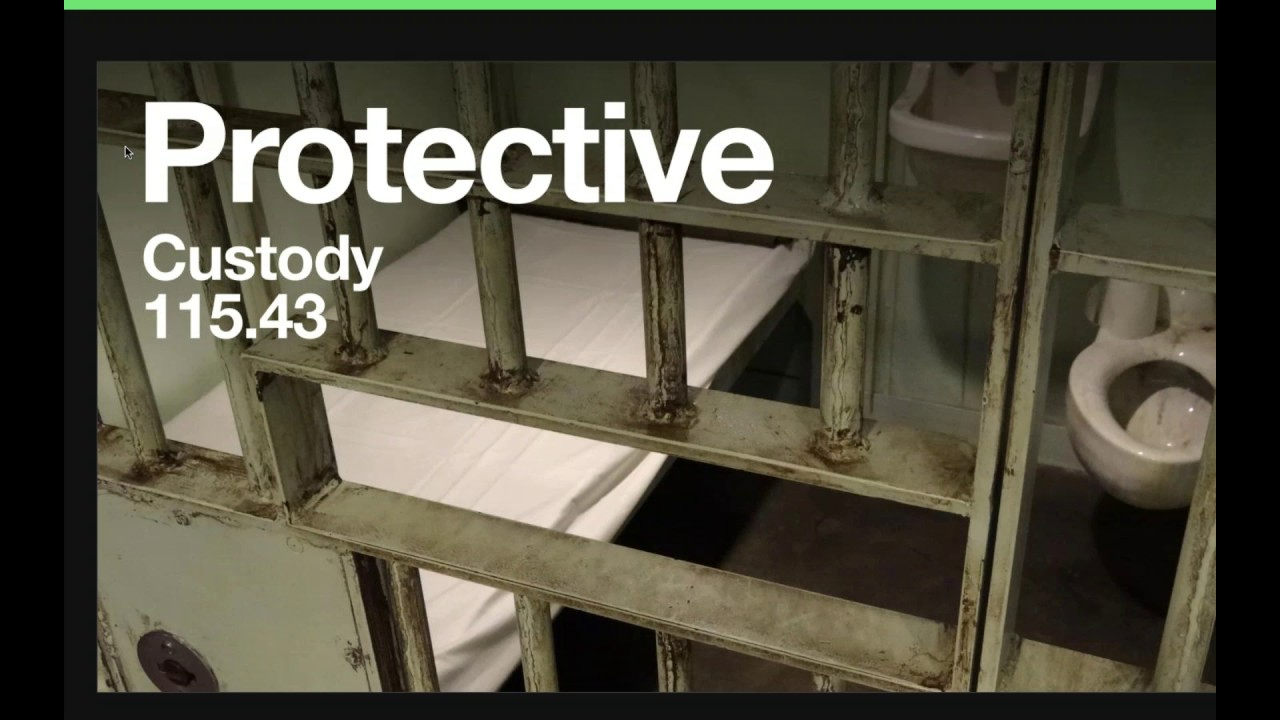 PREA: Understanding the roles of correctional staff and community ...