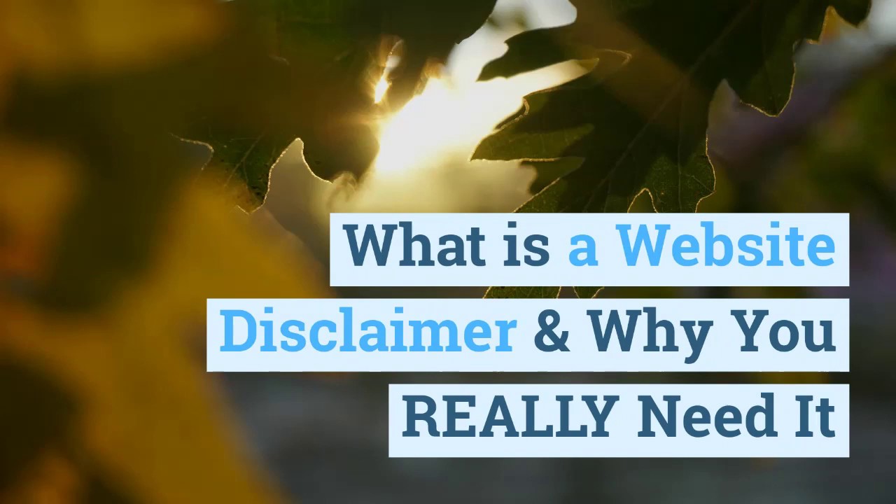 Use FREE Disclaimer Generator by PolicyMaker! Create Legal Disclaimer ...