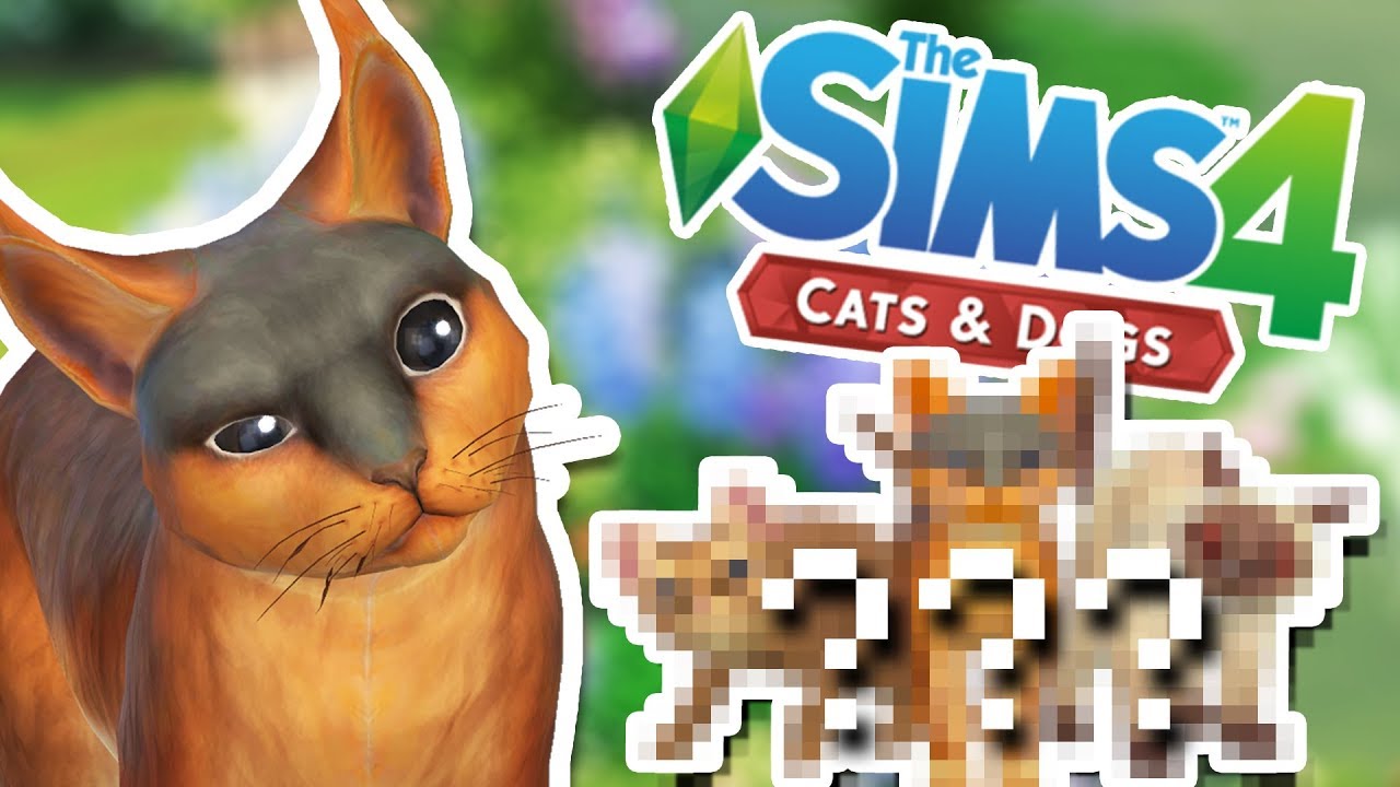 A Patch of Fox Squirrel & Cat Kittens?! 🐱💚🌳 - YouTube