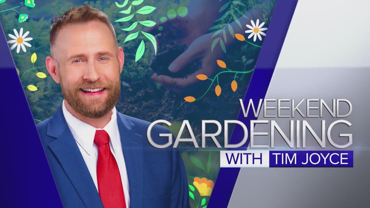 Weekend Gardening: Pansies, violets and Earth Day at the Garfield Park ...