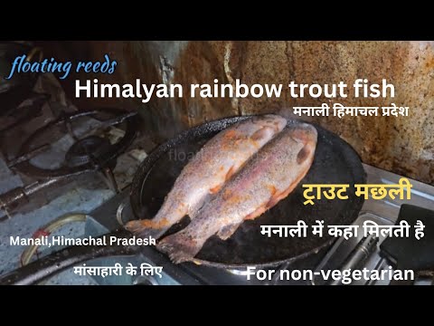Best Trout Fish of Manali, Himachal kaha milti hai ?# besttrout #fish # ...