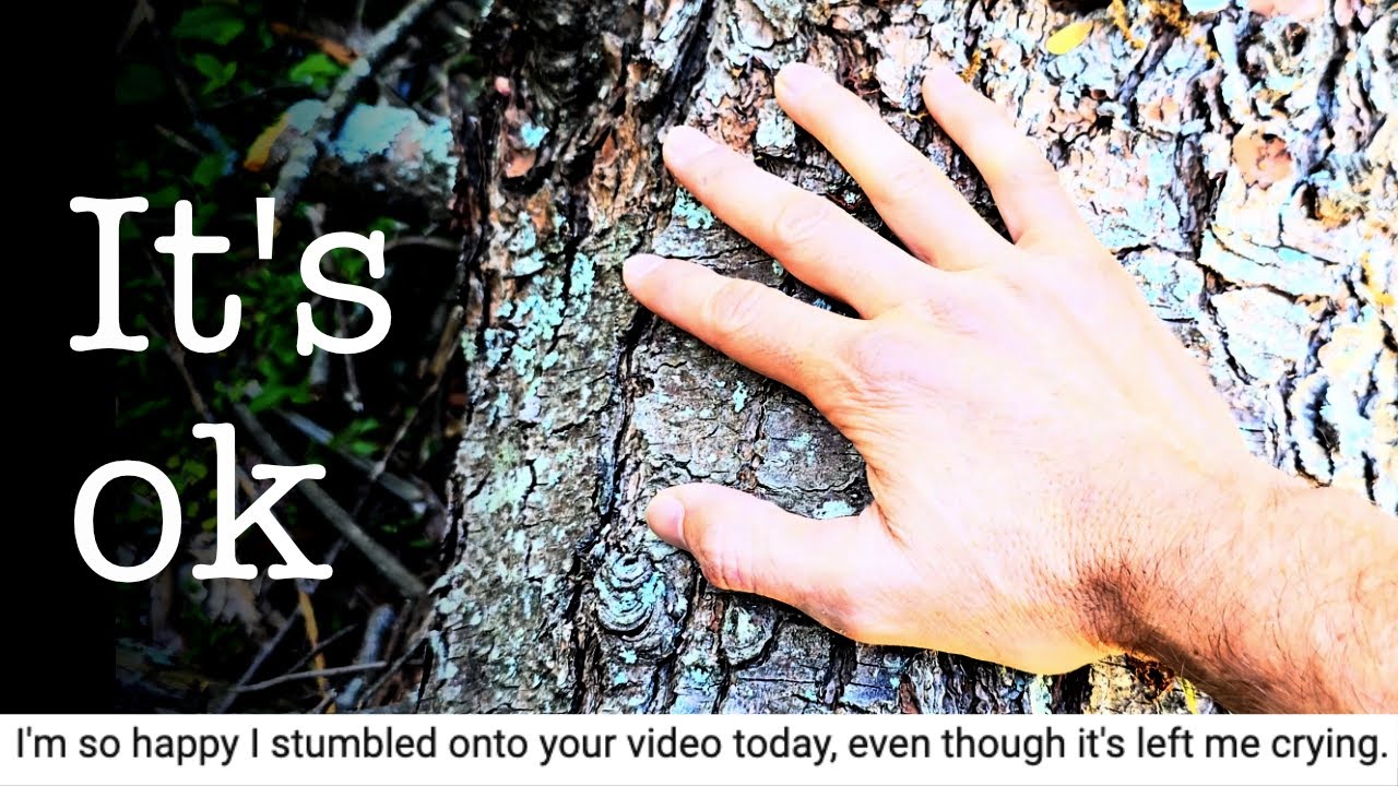 I spoke with a dying tree. Here's what she said - YouTube