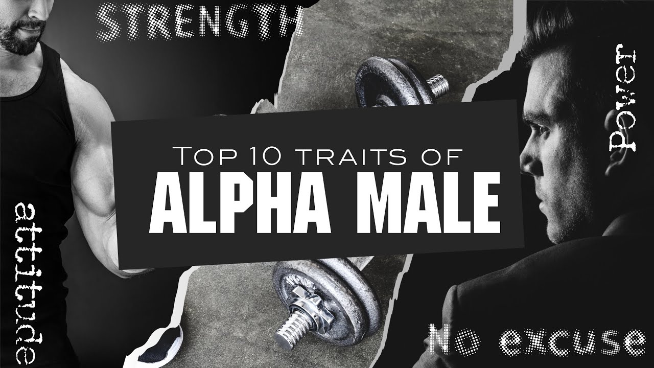 Top 10 traits of ALPHA MALE 🔥| with English subtitles - YouTube