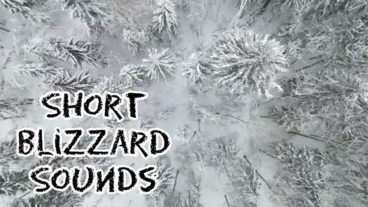 90 Seconds Blizzard Sound | Short video of blizzard | Heavy snowfall ...
