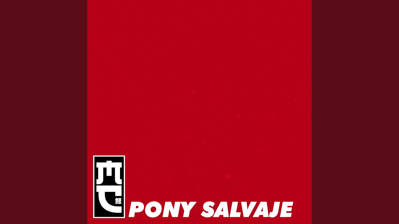 Pony Salvaje - YouTube