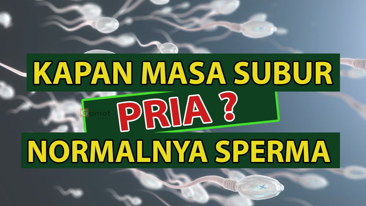 Ciri Sperma Sehat ! Lalu Kapan Masa Subur Pria ? || Tips Sehat - YouTube