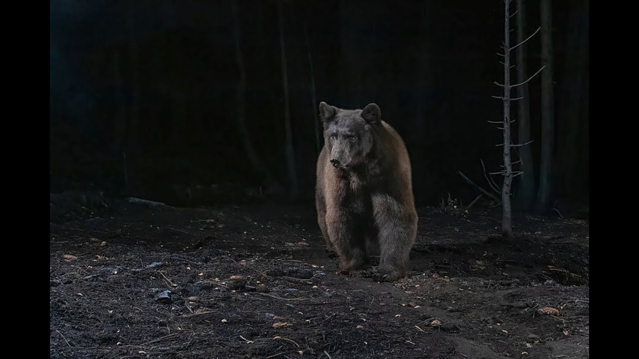Opie & Anthony - Anthony and his girlfriend got lost in the woods - YouTube