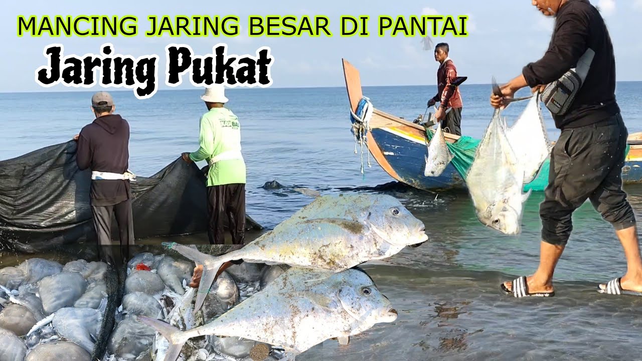WOW Mancing Jaring Seine Yang Menakjubkan Di Laut Metode Penangkapan ...