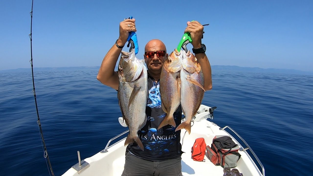 ψαρεμα με τρεις συναγριδες και αρκετα καλαμαρια - YouTube