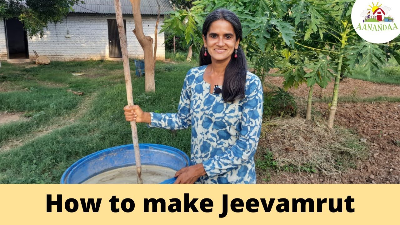Quick Permaculture Tip - How to make Jeevamrut - YouTube