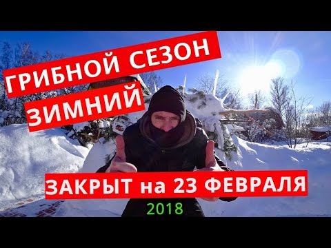 ПОЗДРАВЛЯЮ ВСЕХ МУЖИКОВ С 23 ФЕВРАЛЯ! И ПРИВЕТЫ ПОДПИСЧИКАМ!