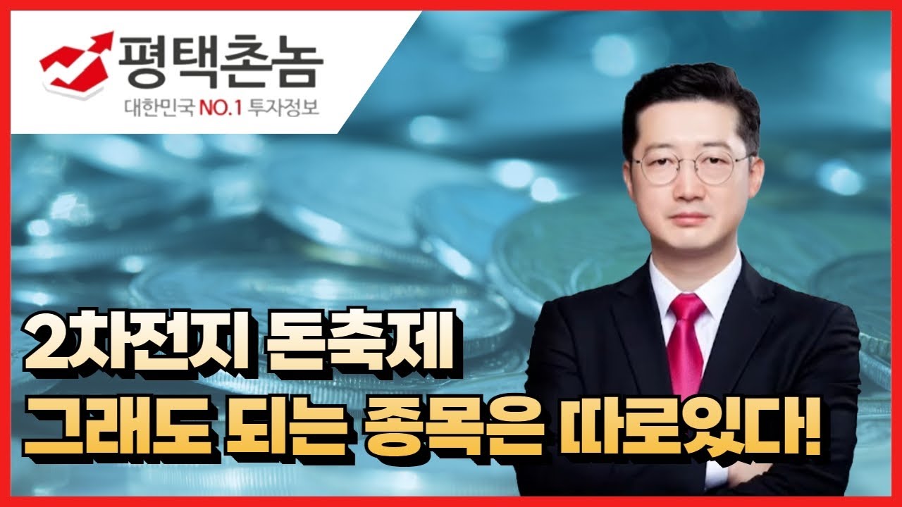 급등주 나노 2차전지 리튬 미세먼지 포스코홀딩스 에코프로 에코프로비엠 나노신소재 금양 주식투자 삼성전자