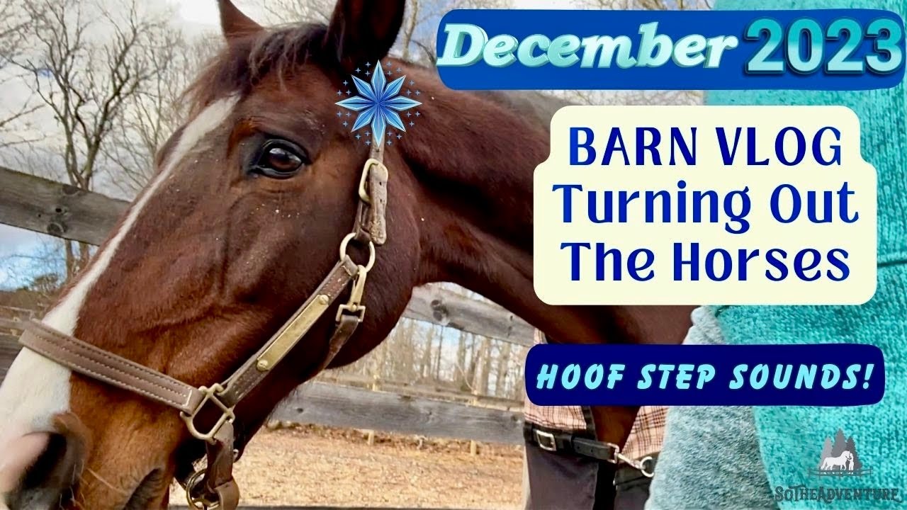 Winter Day BARN VLOG / Turning Out The Horses + Relaxing Hoof Step ...