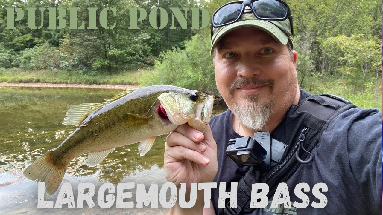 Fishing Late Summer for Largemouth Bass on Public Conservation Area ...