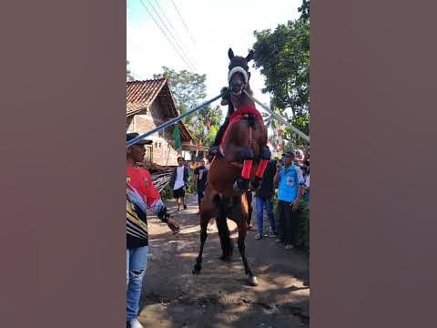 aksi kuda Temon start arak-arakan Bringin - YouTube