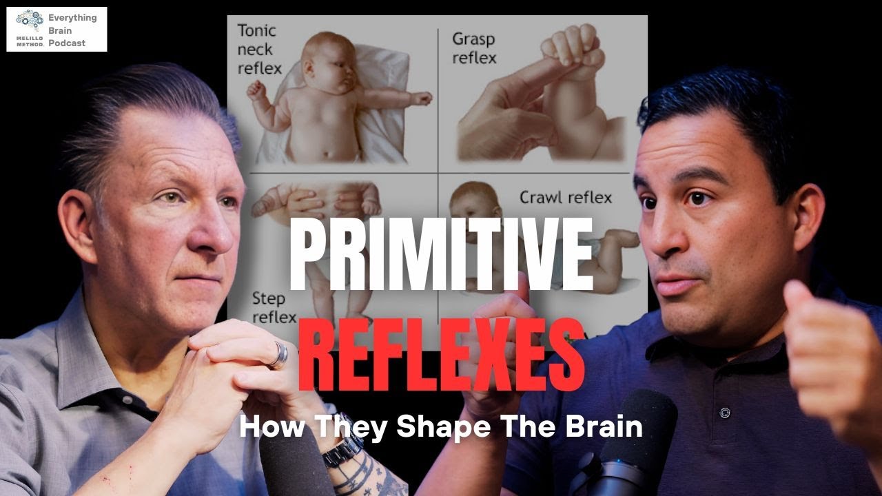 How Brain Growth Shapes Behavior: The Truth About Primitive Reflexes ...