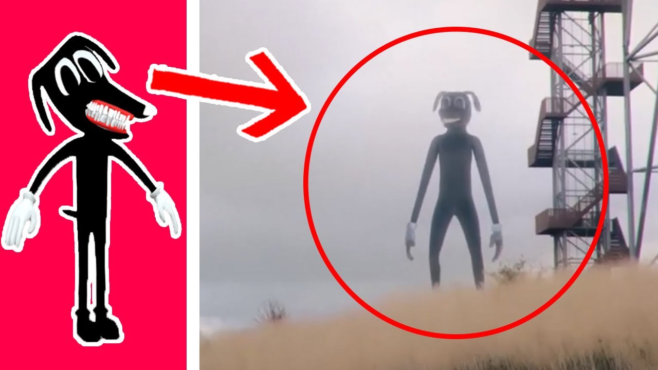 6 CARTOON DOG Reales Captados en Camara - YouTube