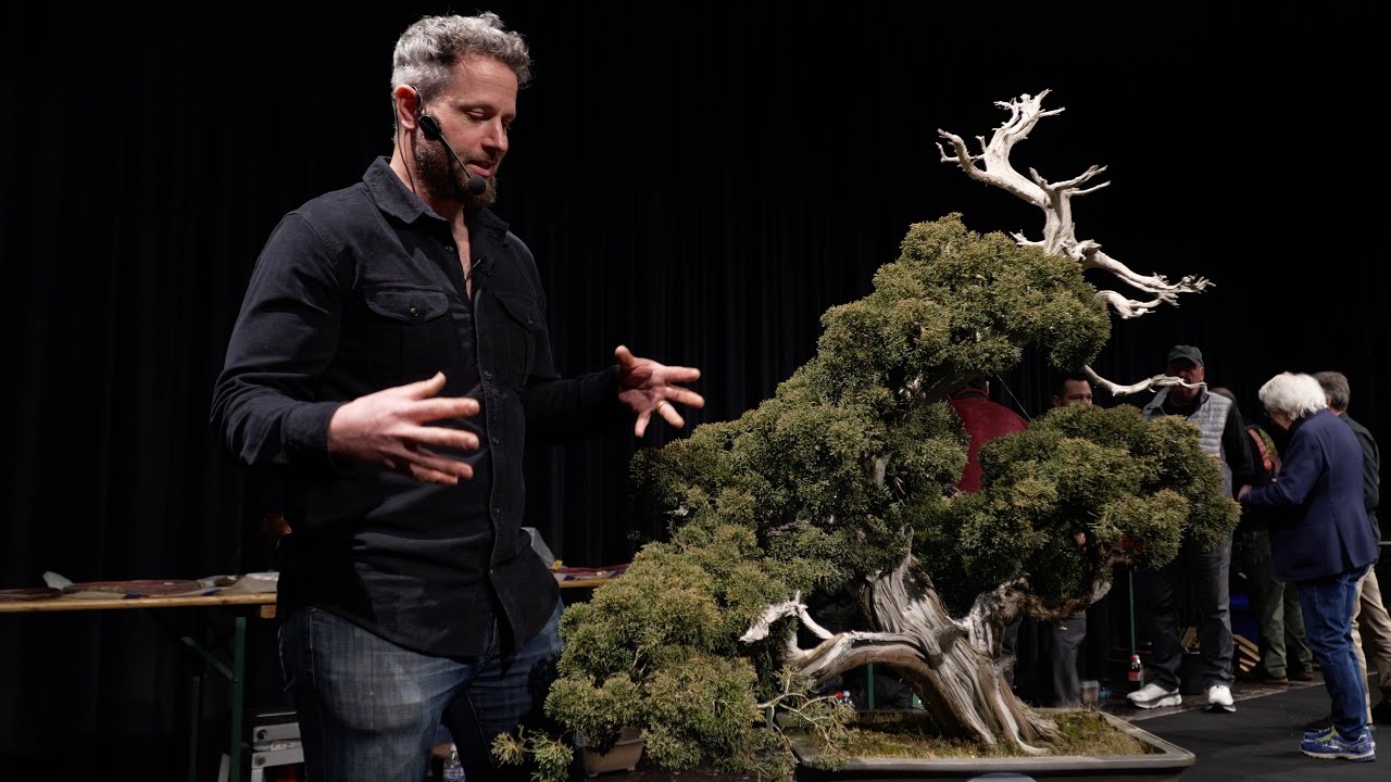 Ryan Neil Bonsai Demonstration (Trophy 2025) - YouTube