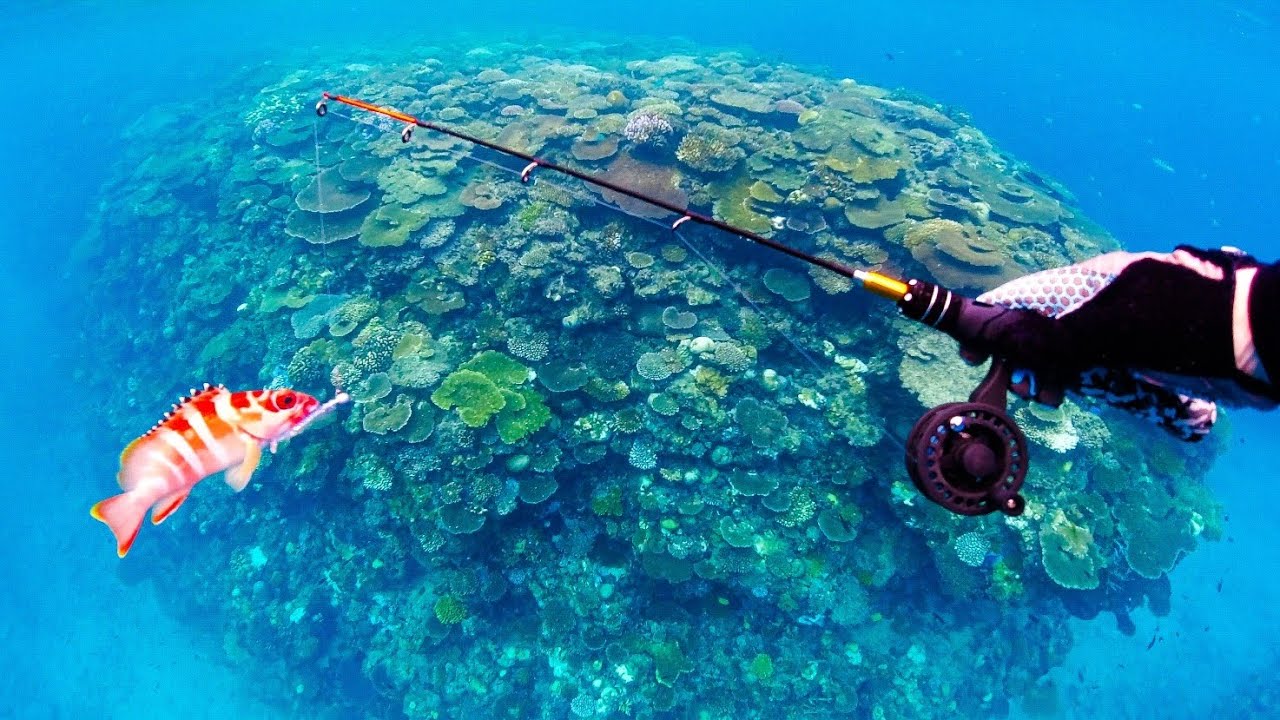 CRYSTAL CLEAR Underwater Fishing With MINI Rod [Seasnake Attack?] - YouTube