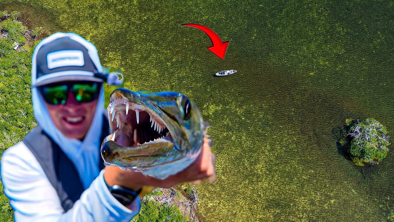 Exploring EPIC FLATS and BRIDGES in the FLORIDA KEYS! (snook, tarpon ...
