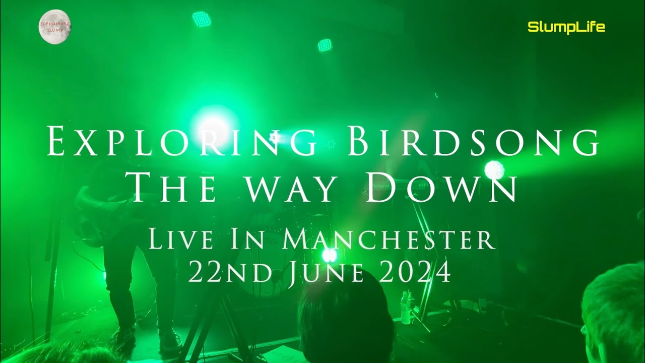 Exploring Birdsong - The Way Down LIVE (The Deaf Institute, Manchester ...