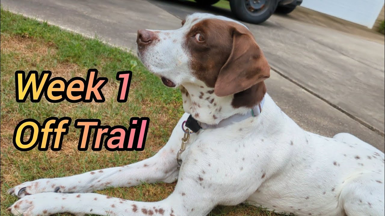 PCT 2025 | Week 1 Off Trail - YouTube