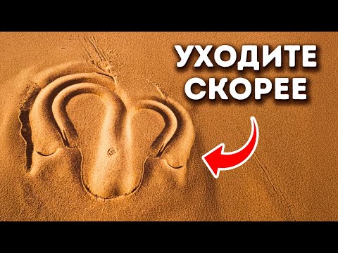 Если вы увидите этот странный знак на песке, будьте осторожны!