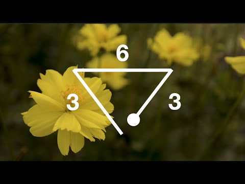 Triangle Breathing - Beginner Breathing Exercise with Full Lung Holds ...