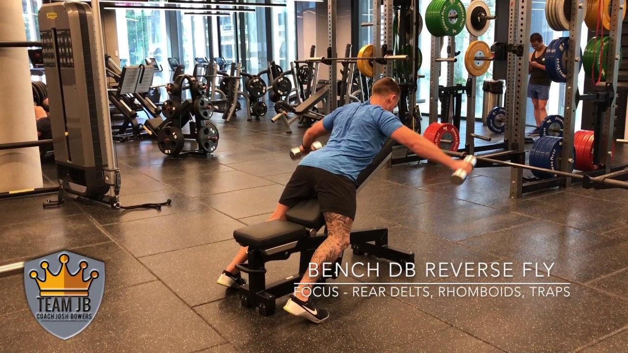 Bench DB Reverse Fly - YouTube
