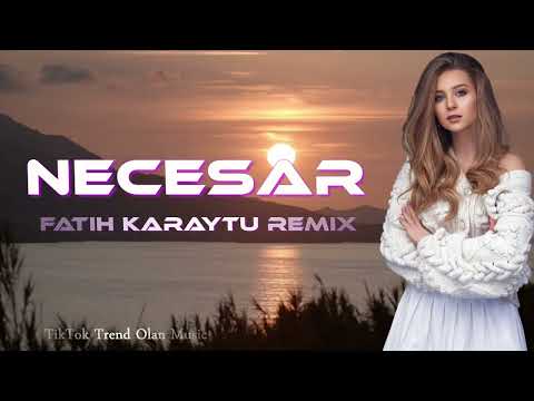 Mario Fresh x Renvtø - Necesar (Fatih Karaytu Remix) TikTok Remix Yeni