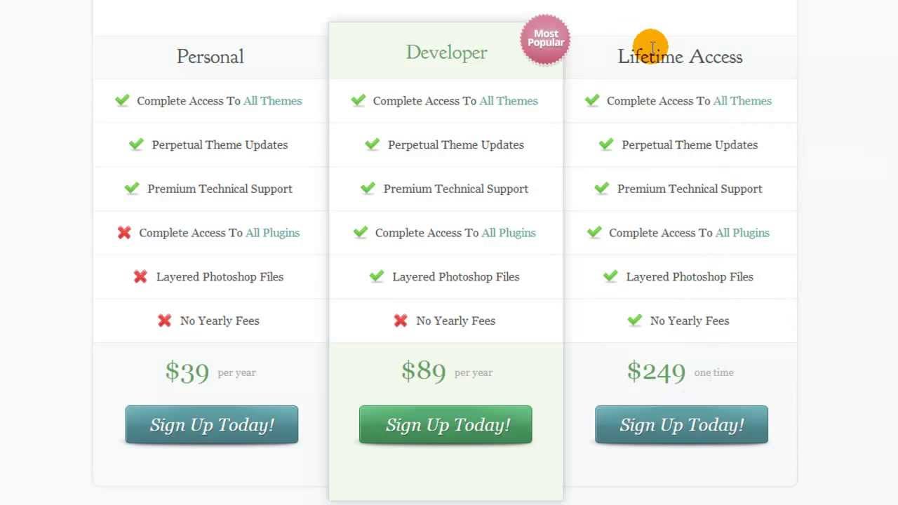 Choisir un Formule Elegant Themes - YouTube