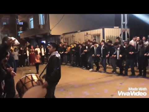 Amed halay Aşiret Düğünleri