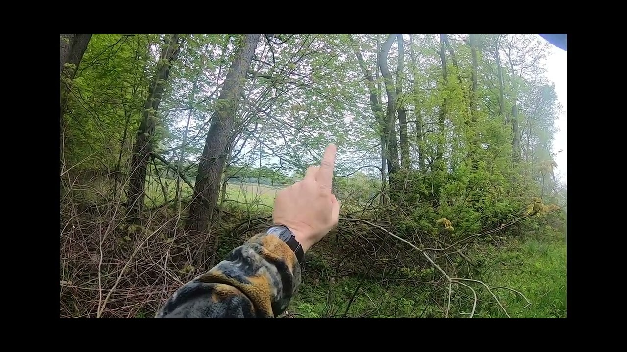PA Spring Turkey Opener 2024 #turkeyhunting #turkey - YouTube