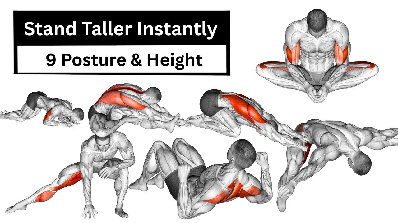 Stand Taller Instantly | 9 Posture & Height Correction Exercises at ...
