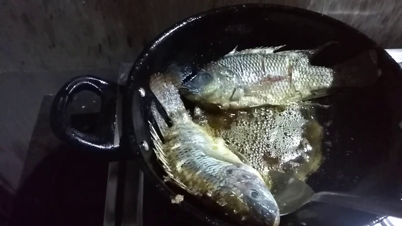 Manipuri foods#Deep fry Tilapia fish "Tunghanbi" - YouTube