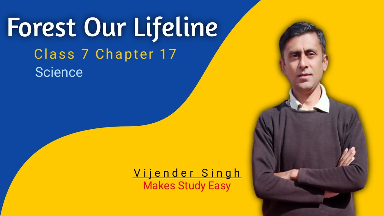 Class 7 Science Chapter 17 Forest Our Lifeline | V Shiksha | Chapter 17 ...