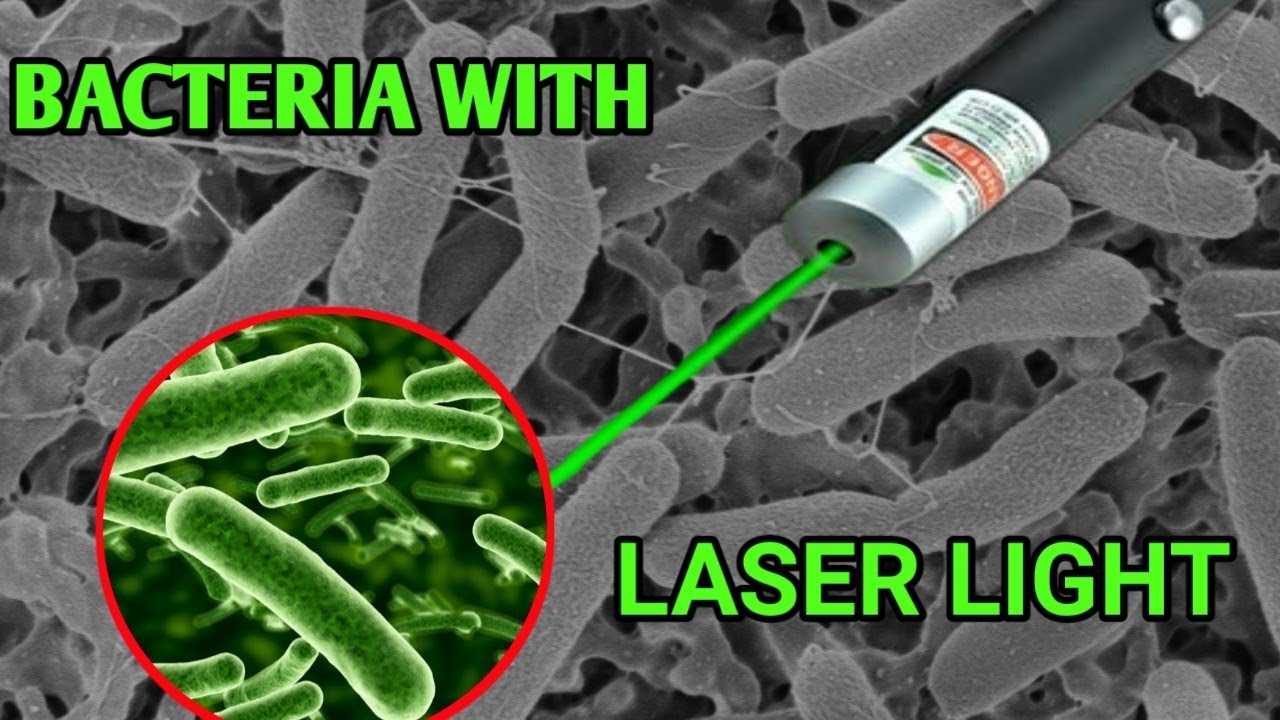 How to see Bacteria with Laser light / How to see Bacteria without ...