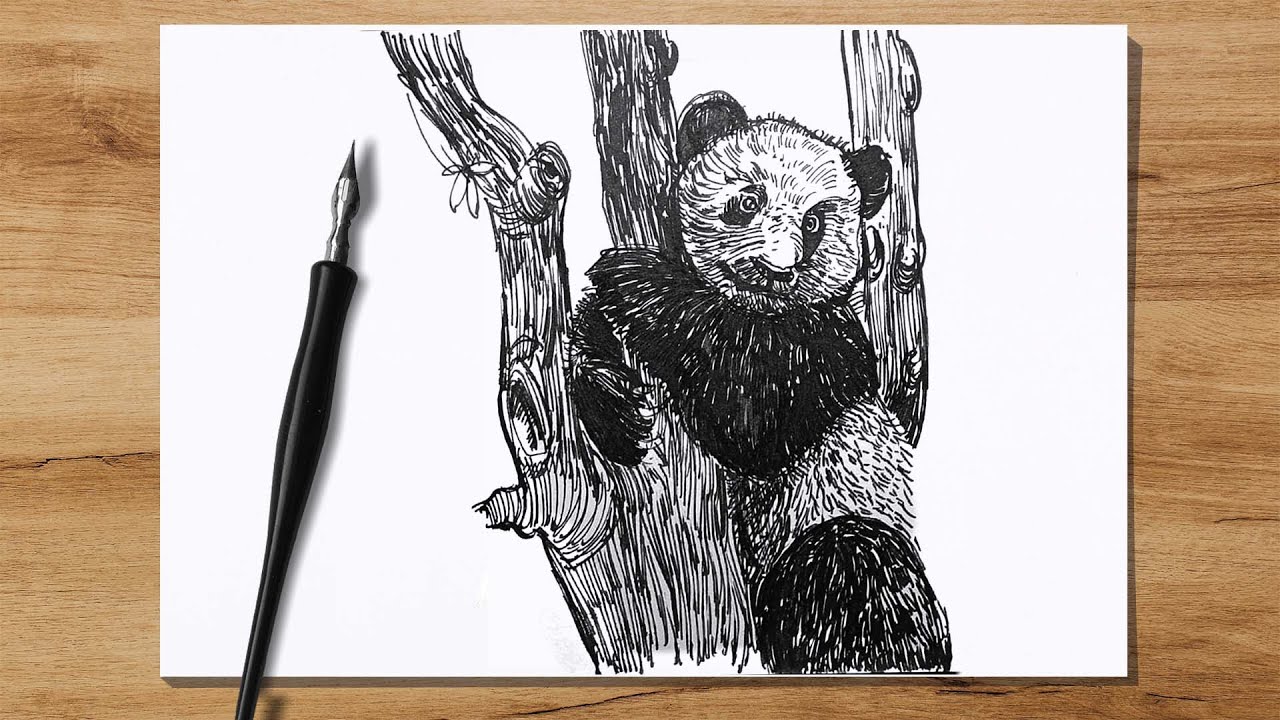 Drawing A Panda | How To Draw A Panda - YouTube