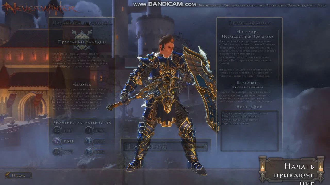 Neverwinter online - Праведный паладин - полное прохождение игры - YouTube