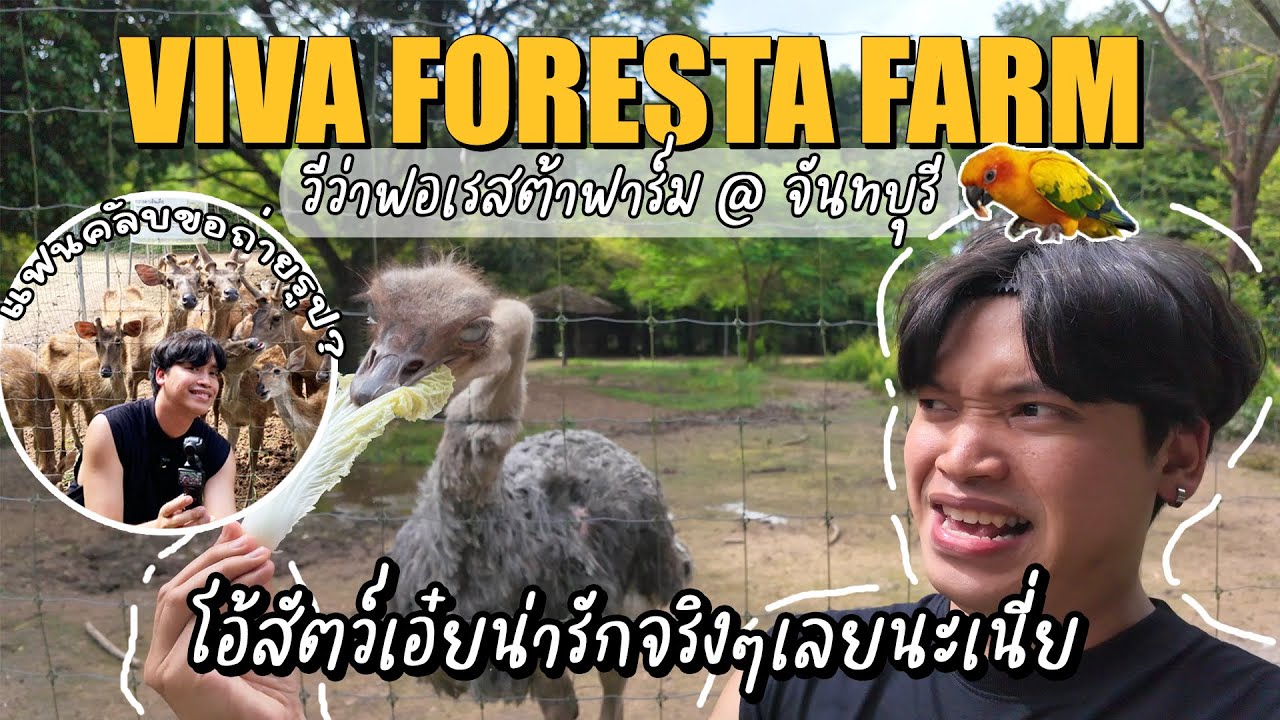 VIVA FORESTA FARM จันทบุรี โอ้สัตว์เอ๋ยน่ารักจริงๆเลยนะเนี่ย - YouTube