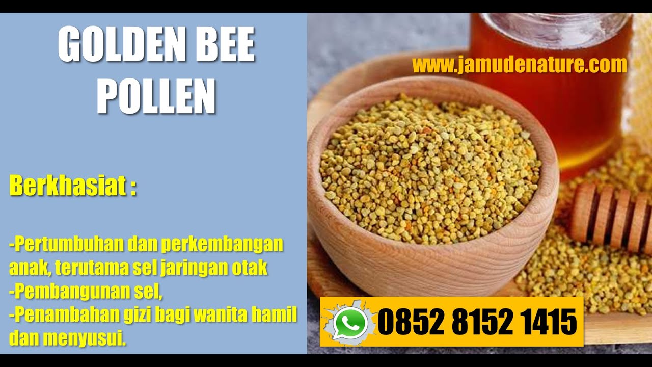 OBAT PENAMBAH DAYA TAHAN TUBUH DAN MULTIVITAMIN || GOLDEN BEE POLLEN DE ...