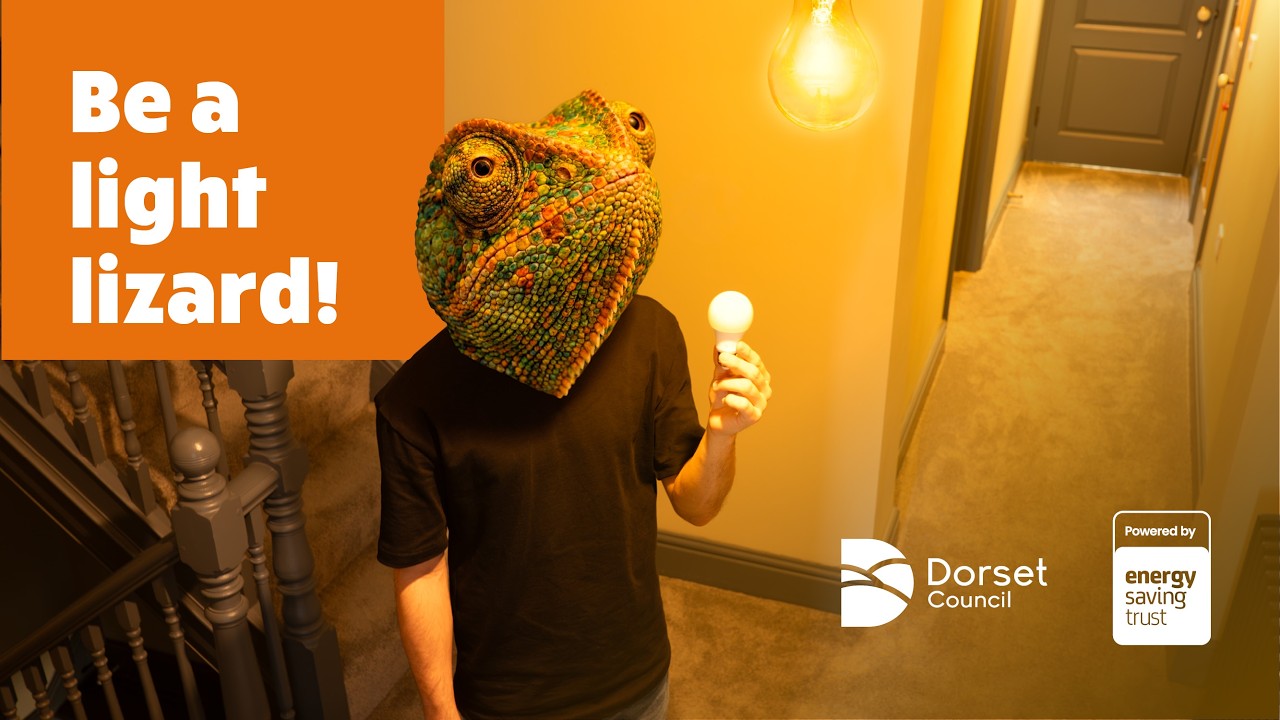 Unleash your inner light lizard - discover yearly LED savings (FREE ...