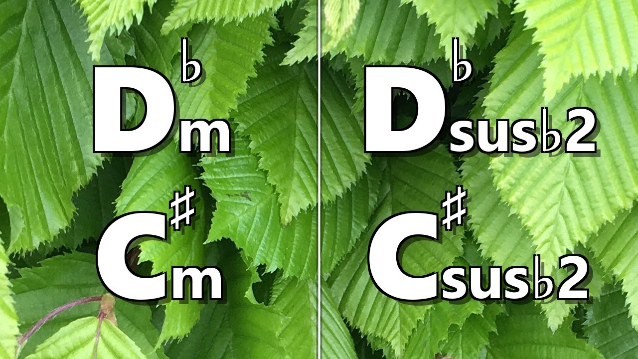Dbm (C#m) to Dbsus b2 (C#sus b2) Backing Track - YouTube