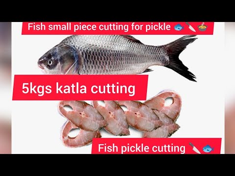 5kg fish pieces cutting for pickles 🐟🔪🥩 katla & bocha | fishing ...