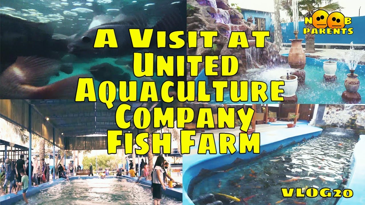 A Visit at United Aquaculture Company - Vlog 20 | Fish Farm | Fish Spa ...