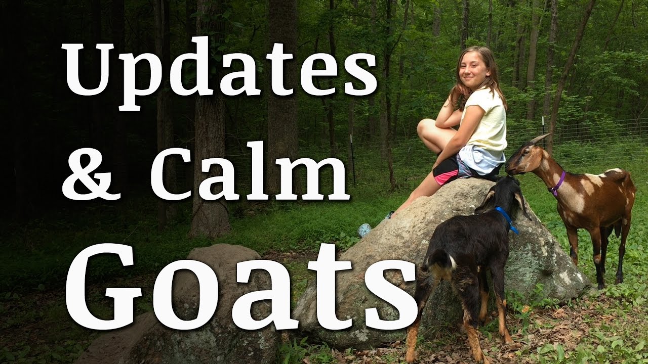 April Planting and Quiet Goats? - YouTube