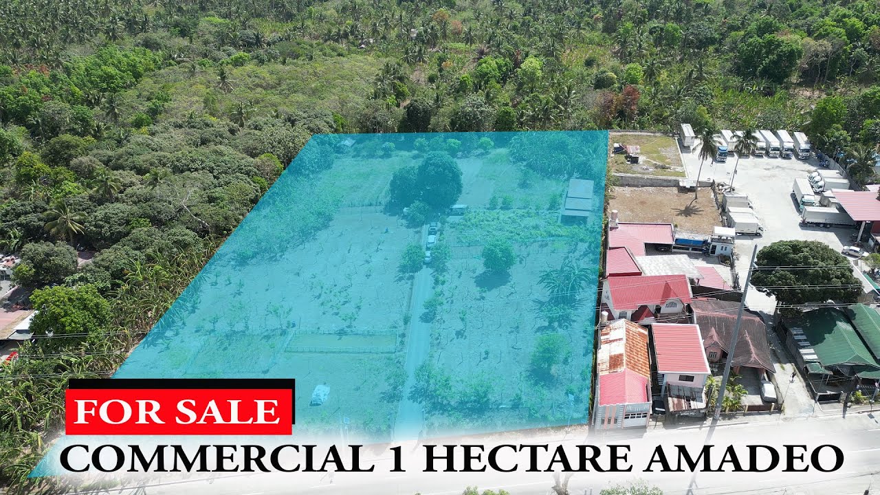 AMADEO CAVITE COMMERCIAL LOT 1 HECTARE ALONG 4 LANES HOUSE TOUR B37 ...